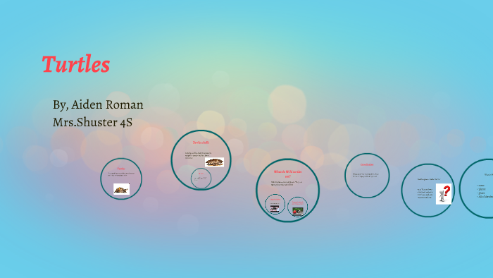 Aiden Roman by Mrs. Bonk on Prezi