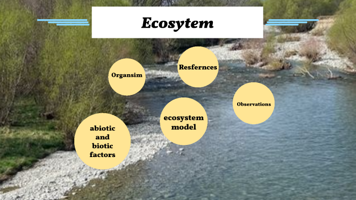 ecosystem by Jazmine Baikie on Prezi