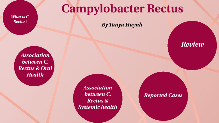 Campylobacter Rectus by Tanya Huynh on Prezi