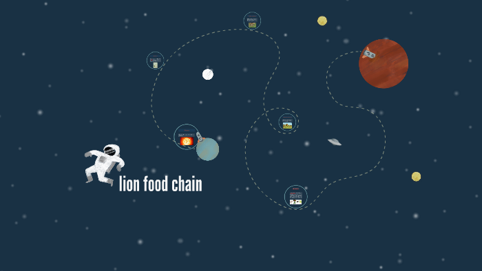 lion food chain by Hunter Myers on Prezi