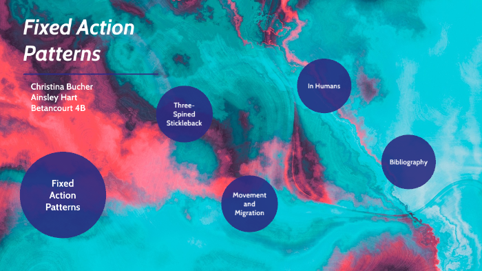 Fixed Action Patterns by Christina Bucher on Prezi