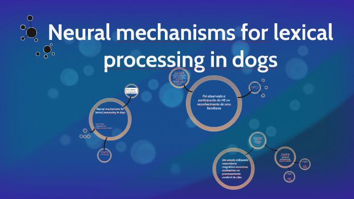 Neural mechanisms for lexical processing in dogs by Carolina Morais on ...
