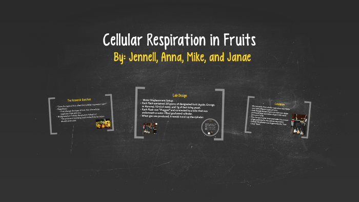 Cellular Respiration in Fruits by Anna Lam on Prezi