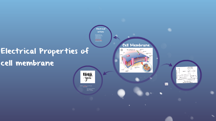 Electrical Properties of cell membrane by jaditchinie francois on Prezi