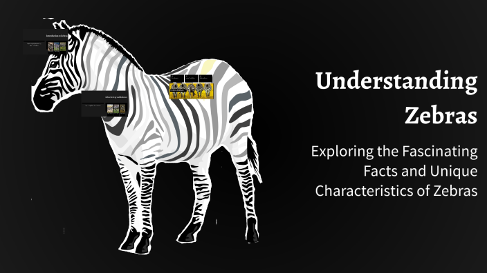 Understanding Zebras by Amara Thompson on Prezi