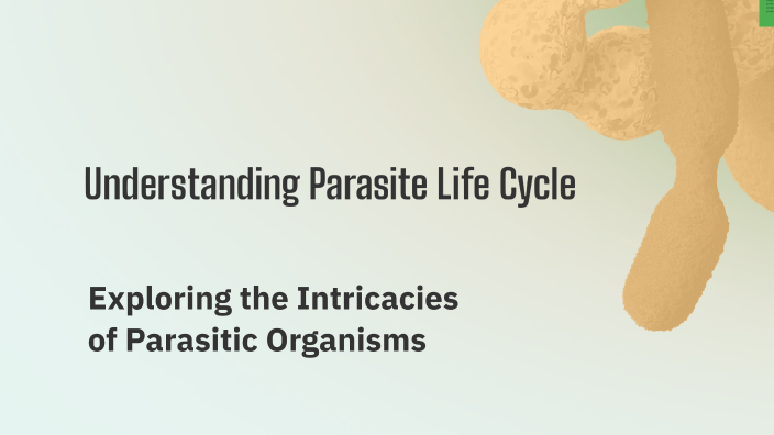 Understanding Parasite Life Cycle by Triannti Inayah on Prezi