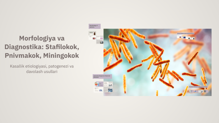 Morfologiya va Diagnostika: Stafilokok, Pnivmakok, Miningokok by Feruza ...