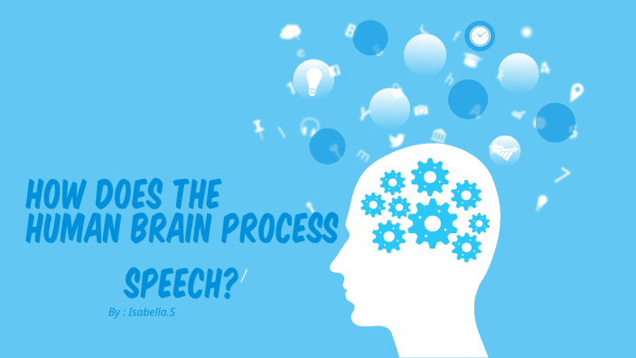 How does the brain process speech? by Isabella Smialek on Prezi