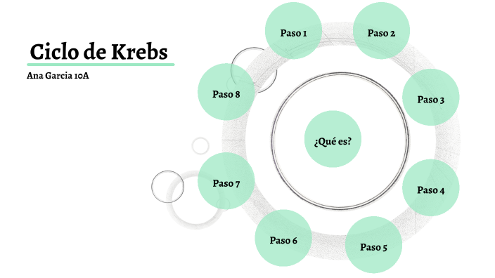 Ciclo de krebs by Ana Garcia on Prezi