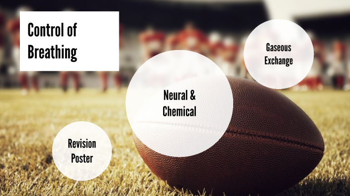 Respiratory System- Control of breathing by Jake Anthony on Prezi