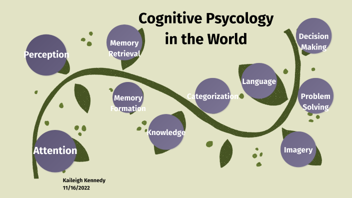 Cognitive Psychology in the World by Kaileigh Kennedy on Prezi