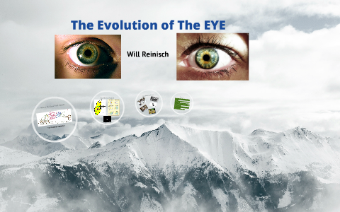 Evolution of the eye by will reinisch on Prezi