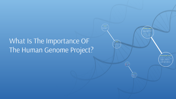 What Is The Importance OF The Human Genome Project? by ellie reddekopp ...