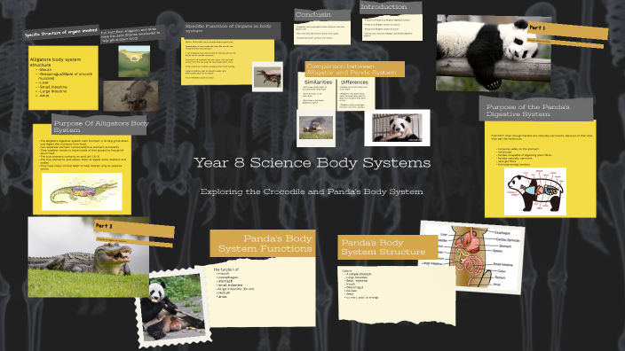 Year 8 Science Body Systems by Manav Pradeep Pillai on Prezi