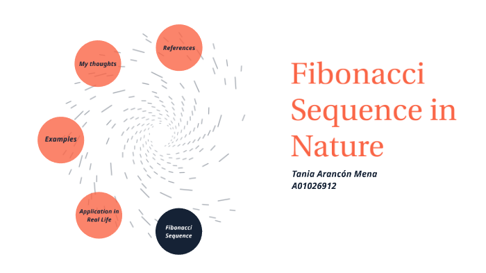 Fibonacci Sequence in Nature by Tania Arancón on Prezi