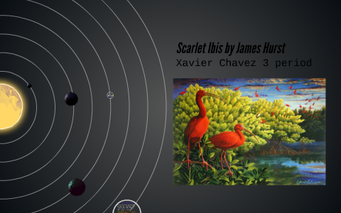 Scarlet Ibis by James Hurst by xavier chavez on Prezi
