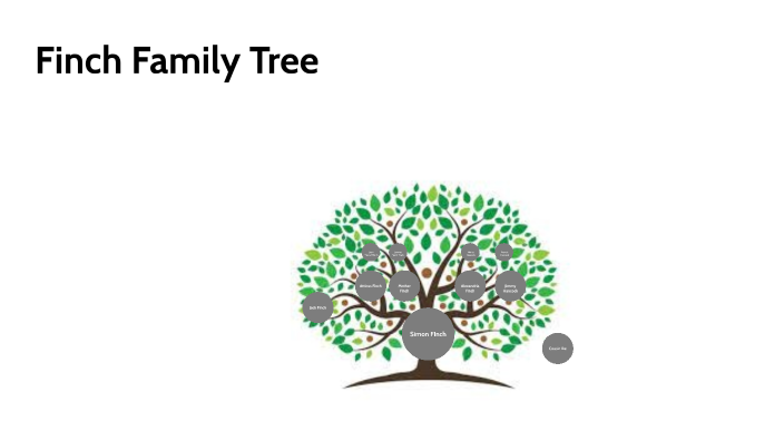 Finch Family Tree by Blake Pool on Prezi