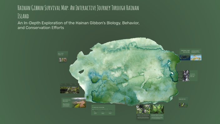 Hainan Gibbon Survival Map: An Interactive Journey Through Hainan ...