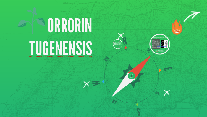 ORRORIN TUGENENSIS by on Prezi