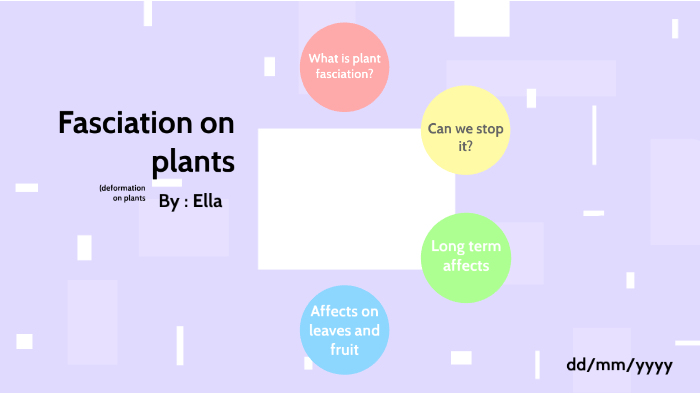 fasciation on plants (deformation on plants) by RPE Elem on Prezi