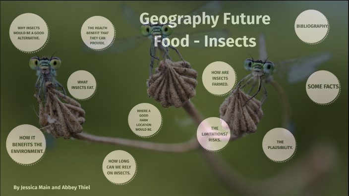 Geography Future Food - Insects by Jess main on Prezi