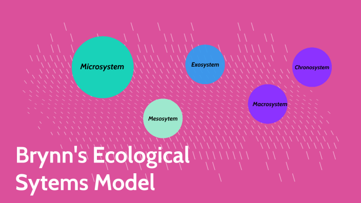 Ecological system model by Rachel Black on Prezi