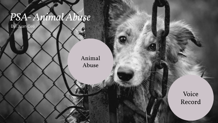 PSA Animal Abuse by Juan Celi on Prezi