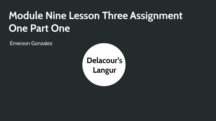 Module Nine Lesson Three Assignment One Part One by Emerson Gonzalez on ...