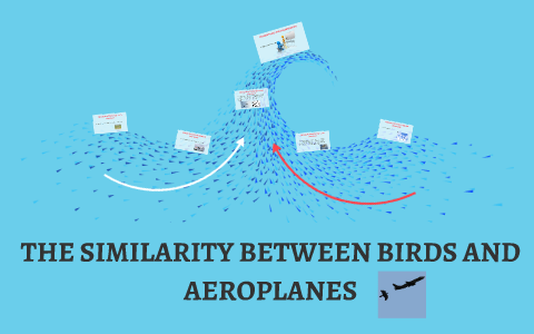 SIMILARITY BETWEEN BIRDS AND AERO PLANE by huraira rasheed on Prezi