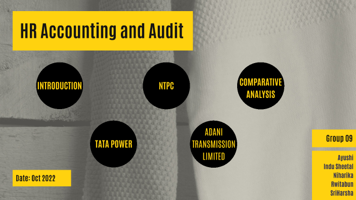 HR Accounting and Audit by indu sheetal on Prezi