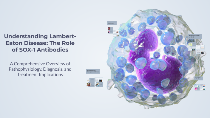 Understanding Lambert-Eaton Disease: The Role of SOX-1 Antibodies by ...