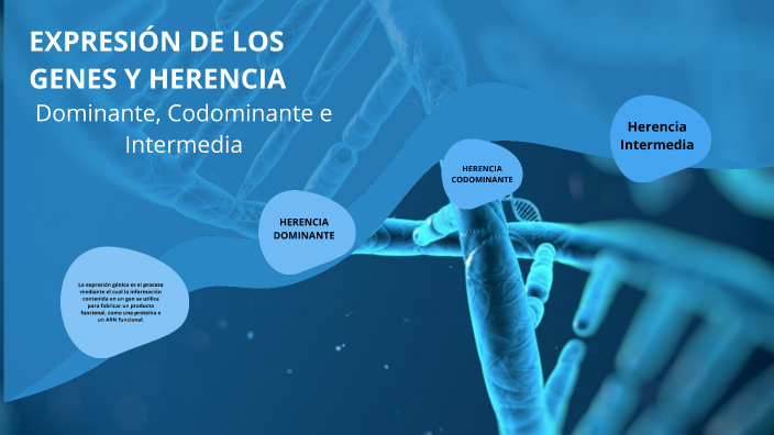 Expresión de los Genes y Herencia by JENNIFER ANAHI GARRIDO CHINGUA on ...