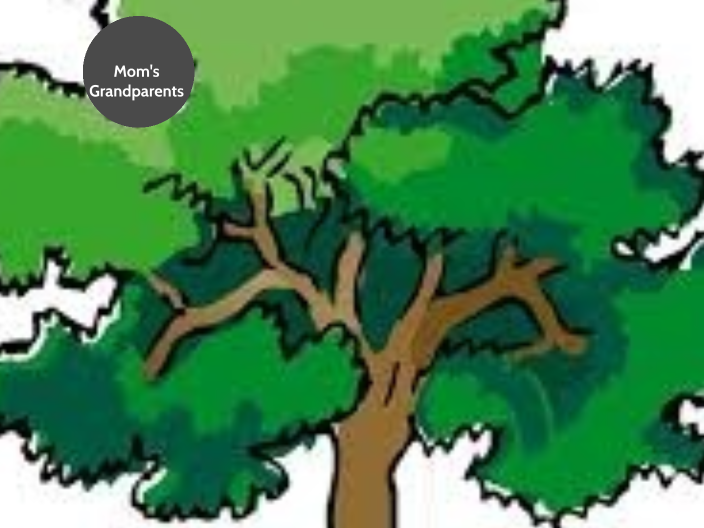 Grayson Family Tree by grayson fontenot on Prezi