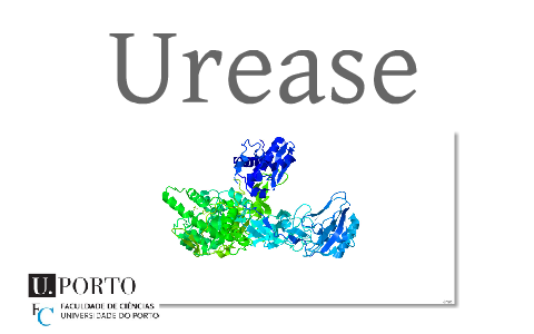 Urease by Rui Sousa on Prezi