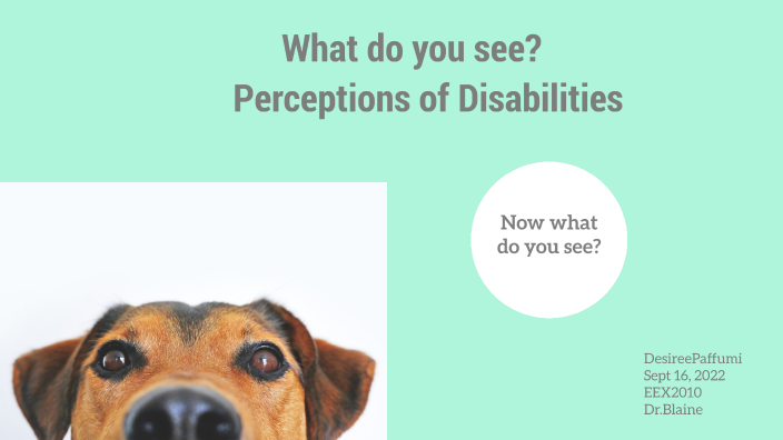What do you see? Perceptions of Disabilities by desiree paffumi on Prezi