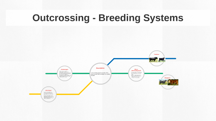 Outcrossing - Breeding Systems by Brianna Reynolds on Prezi