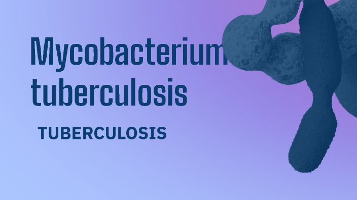 Mycobacterium tuberculosis by Jose Chicahual on Prezi