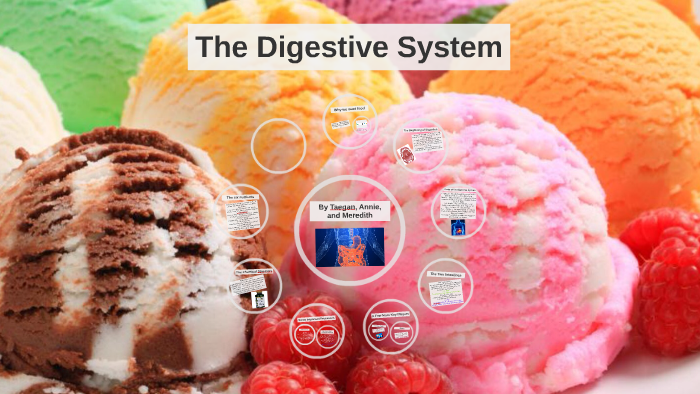 Taegan, Annie, and Meredith Digestive System by Susan Musco on Prezi