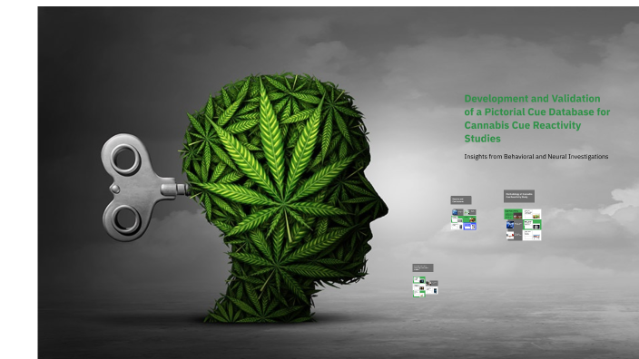 Development and Validation of a Pictorial Cue Database for Cannabis Cue ...