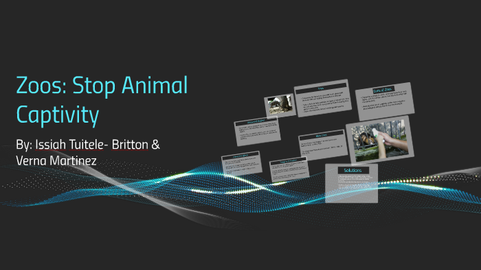 Zoos: Stop Animal Captivity by Issiah Tuitele on Prezi