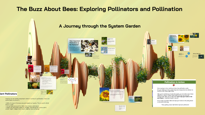 The Buzz About Bees: Exploring Pollinators and Pollination by Chenyang ...