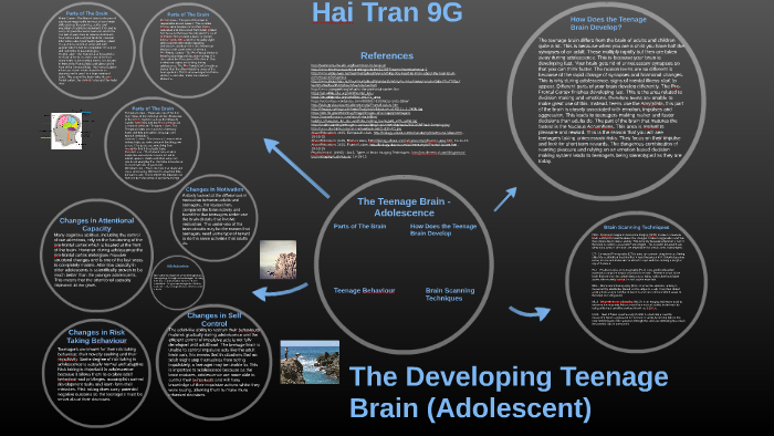 The Developing Teenage Brain (Adolescent) by Hai Tran on Prezi