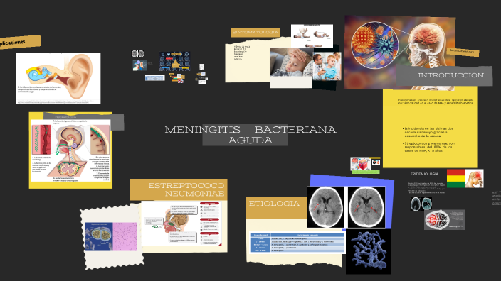 MENINGITIS BACTERIANA AGUDA by Rosario garcia on Prezi