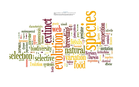 Life On Earth: Food Webs by Oliver Traynor on Prezi