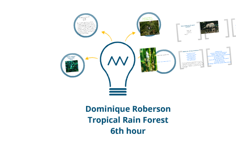 Tropical Rain Forest Project by Dominique Roberson on Prezi