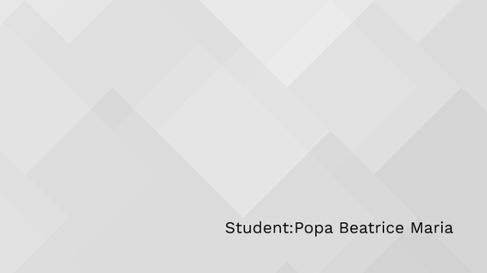 Netflix Corporate Governance by Beatrice Popa on Prezi