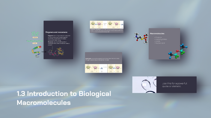 AP_BIO 1.3 "Introduction to Biological Macromolecules" by Yonis Maher ...