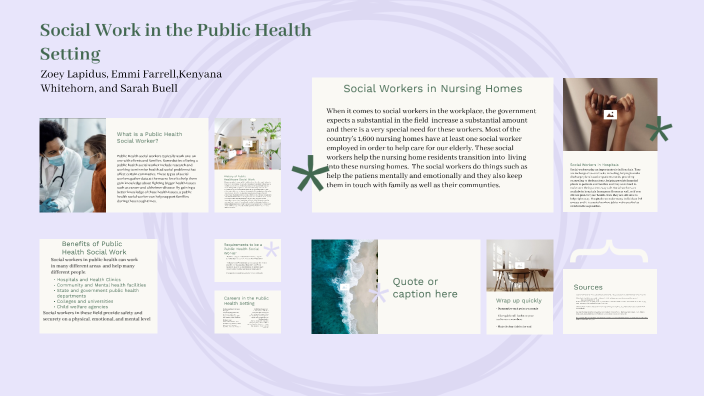 Social Work in the Public Health Setting by Zoey Lapidus on Prezi