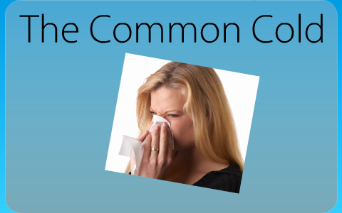 The Common Cold - Presentation by Andrew Kumar on Prezi