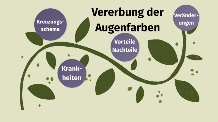 Vererbung der Augenfarben by Silja Ziegeler on Prezi